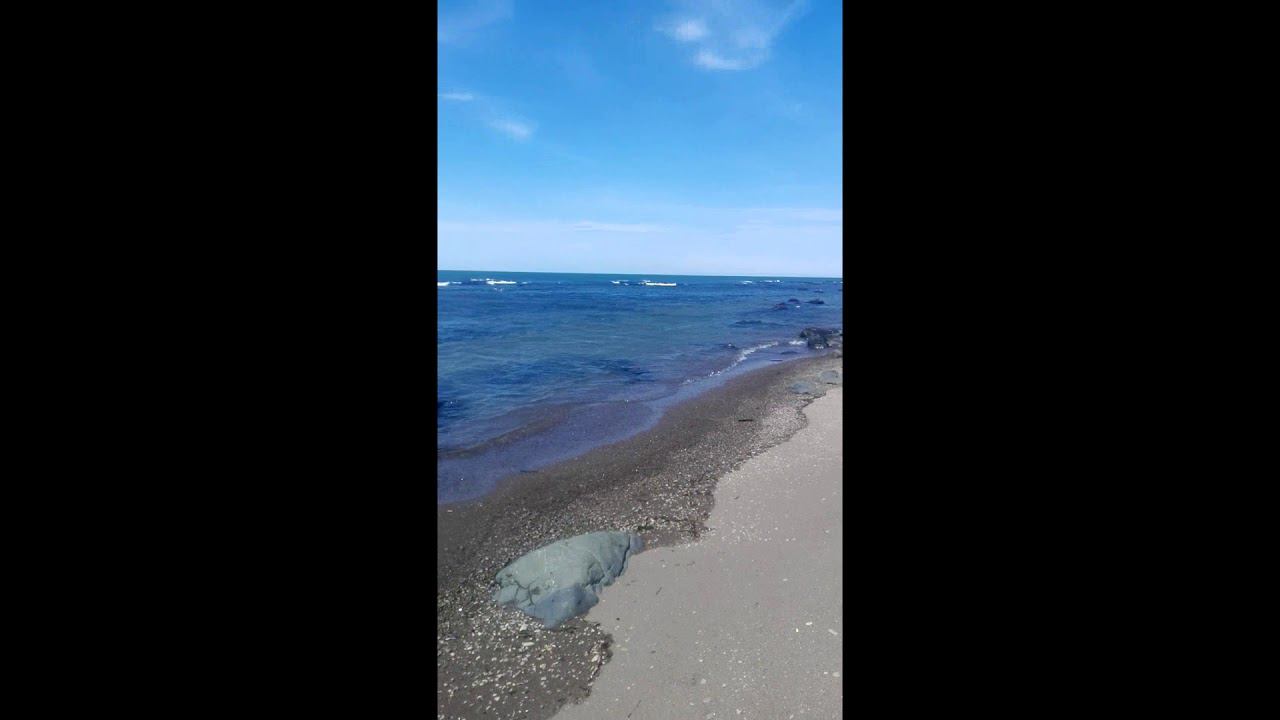 Сахалинское море 2020