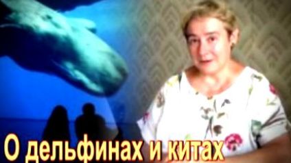 О дельфинах и китах потрясающе говорят Валентина Миронова и супруги Гратовски