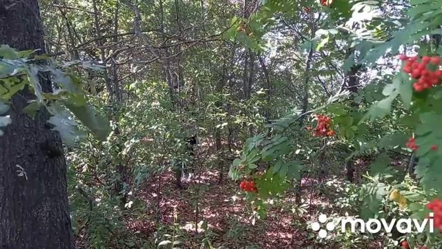 ‼️Снова едем на грибную разведку в новые места? 28.08.2021 г.‼️