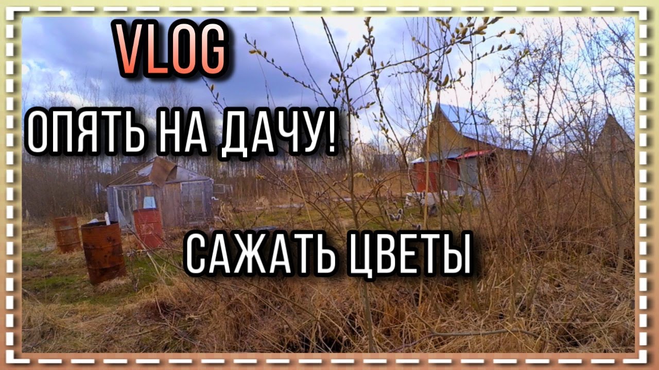VLOG/Опять на дачу! Сажать цветы/03.05.2020 год