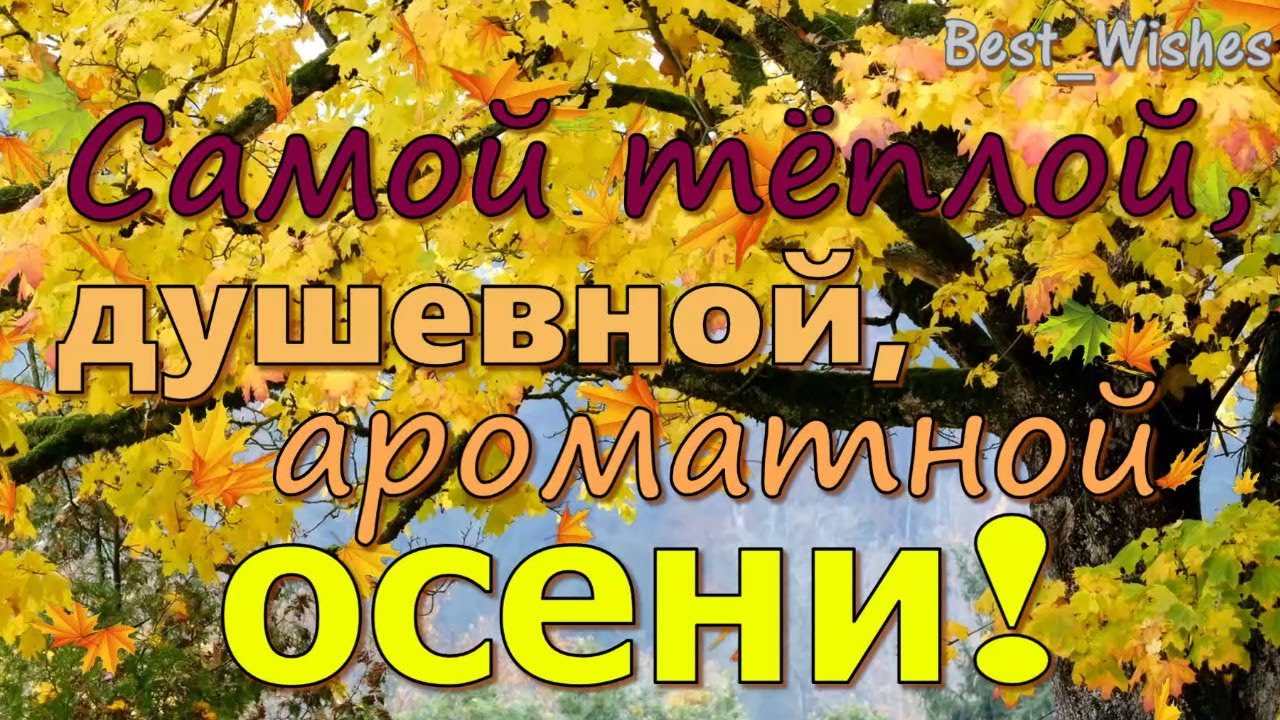 Самой Тёплой, Душевной, Ароматной Осени, КРАСИВАЯ Открытка Пожелание Отличной Золотой Осени в Стихах