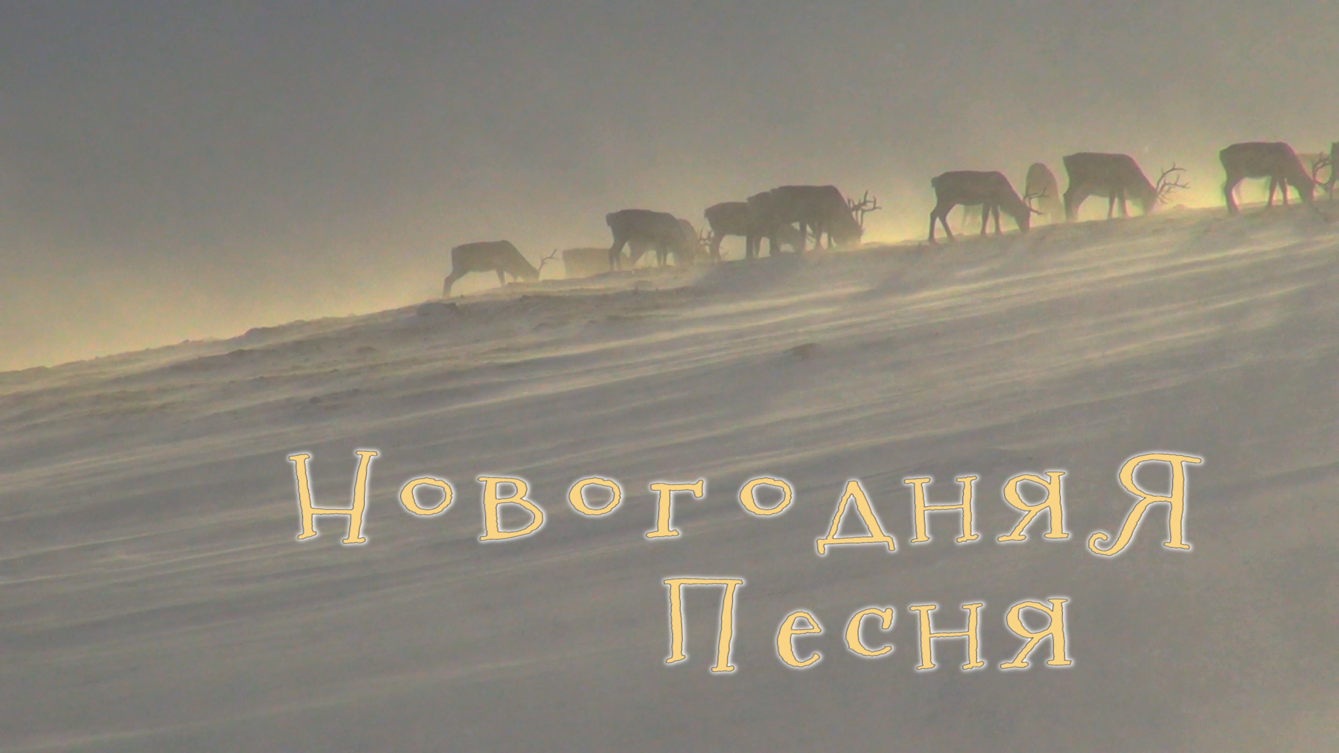 Новогодняя песня