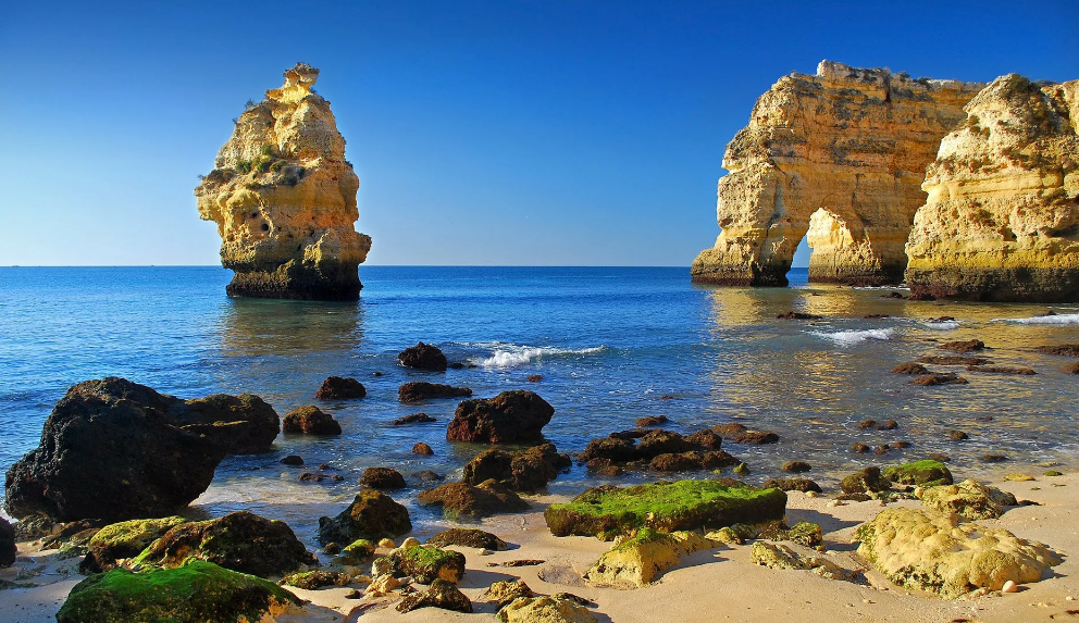 Новогоднее поздравление Александра Шишова! Песни Стаса Михайлова! Подписывайтесь!