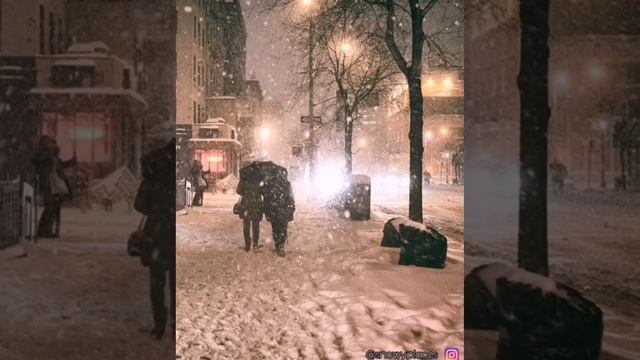 Люди и снег