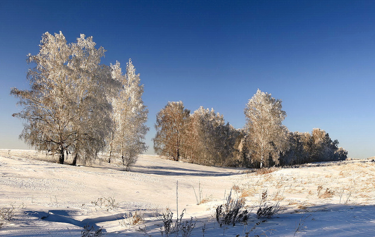 Звуки тишины