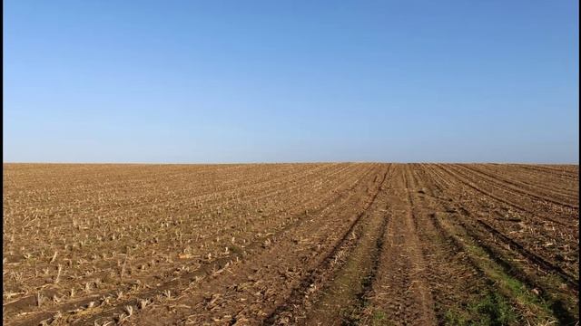 За того Парня. Роберт Рождественский