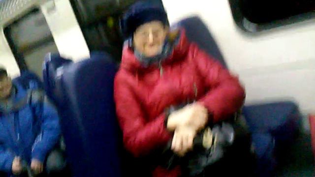 Большая собака в электричке 21.02.2017
