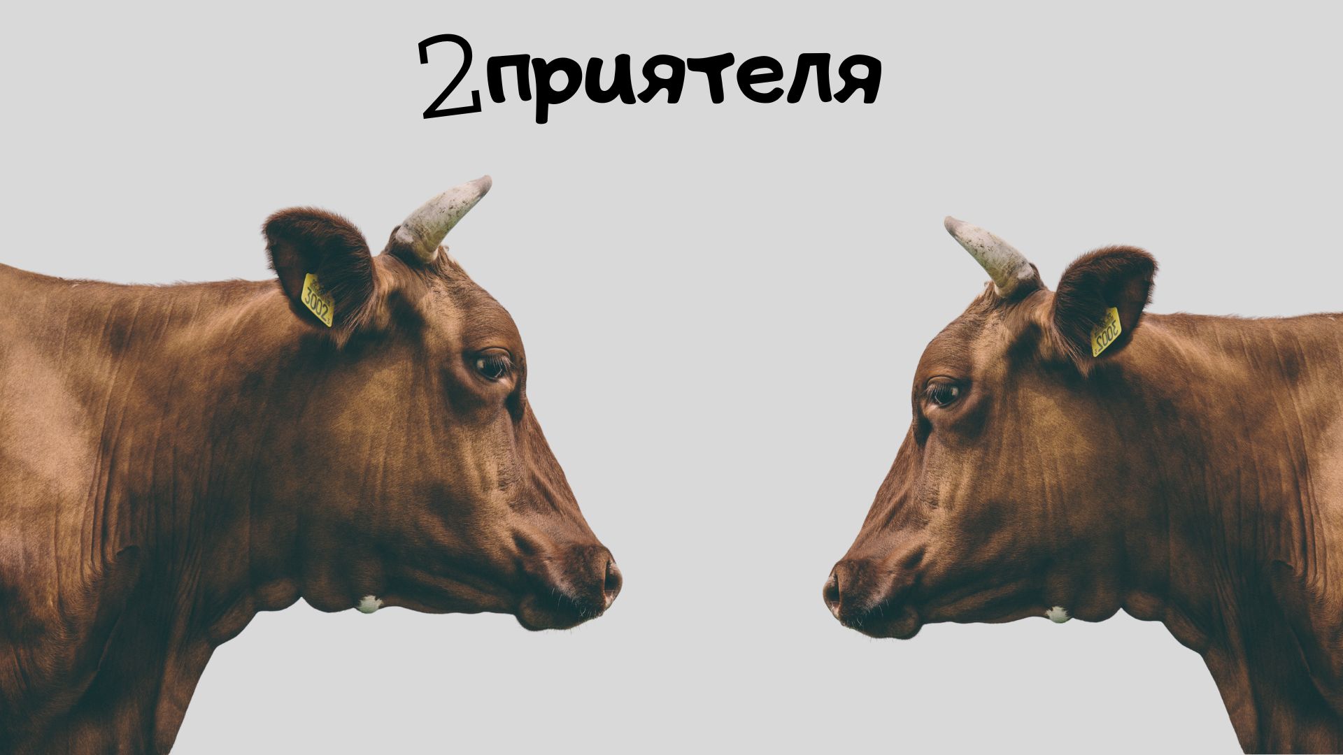 Два Приятеля