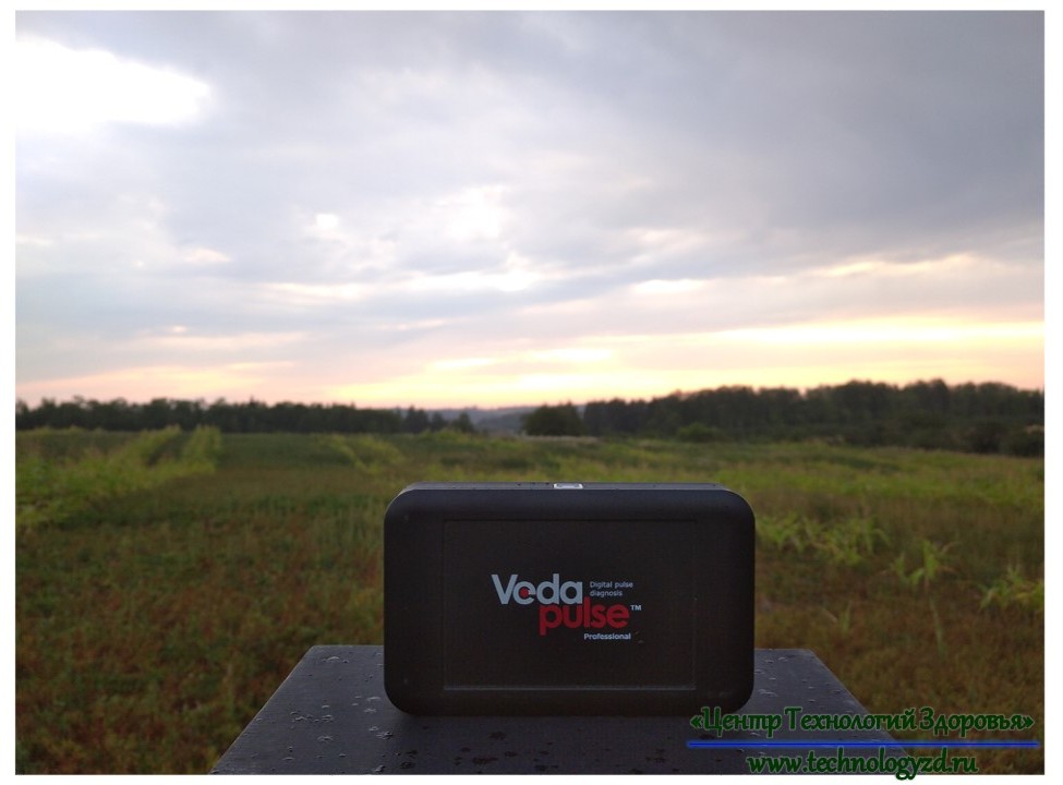 Рассвет. Немного природы.