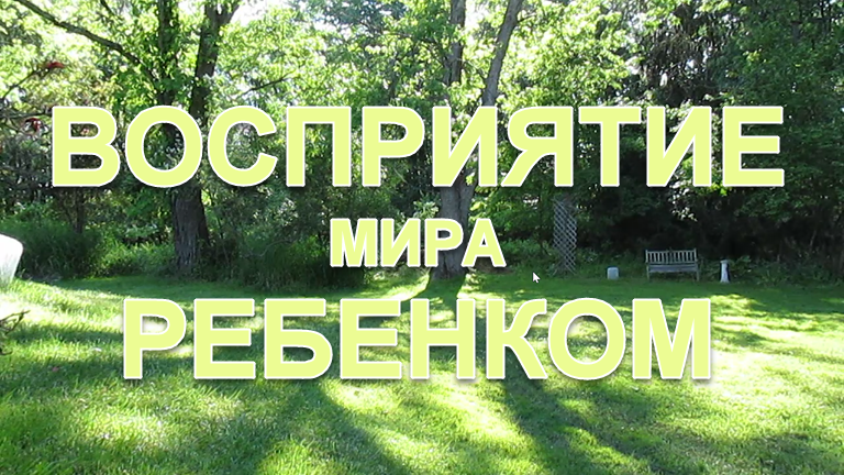 Может ли взрослый вернуть волшебство восприятия мира ребенком?