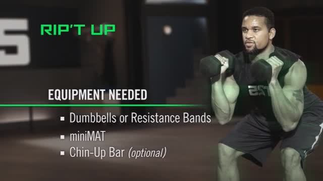 FOCUS T25 - Gamma - Rip't Up