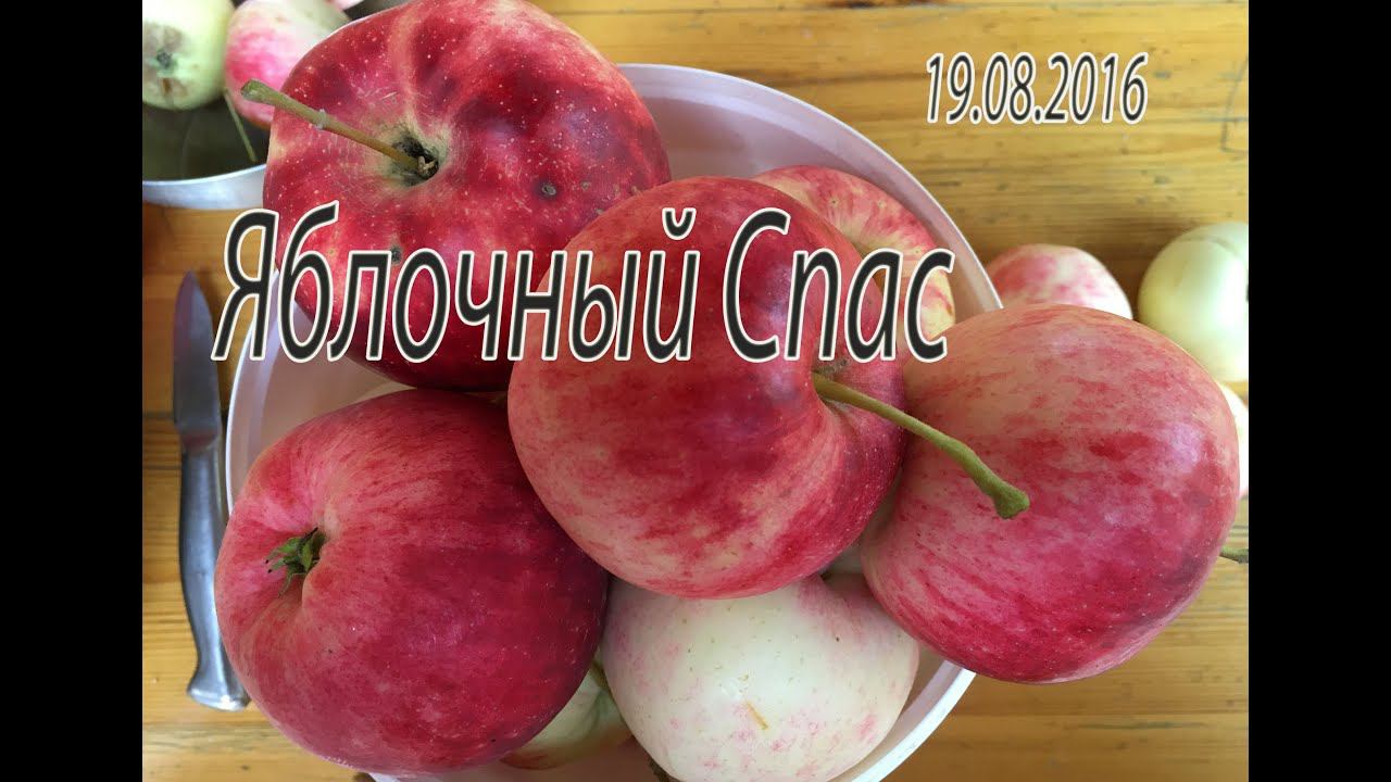 Яблочный Спас. 19 августа 2016г.