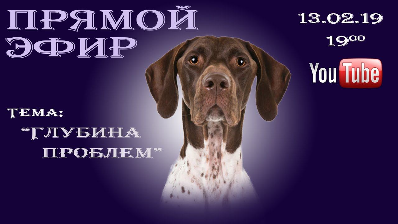 "Глубина проблем" - среда натаски.