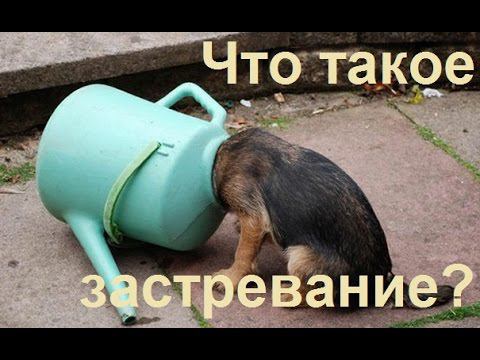 Что такое застревание?