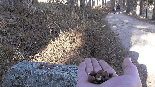 Кисловодск 2021 07