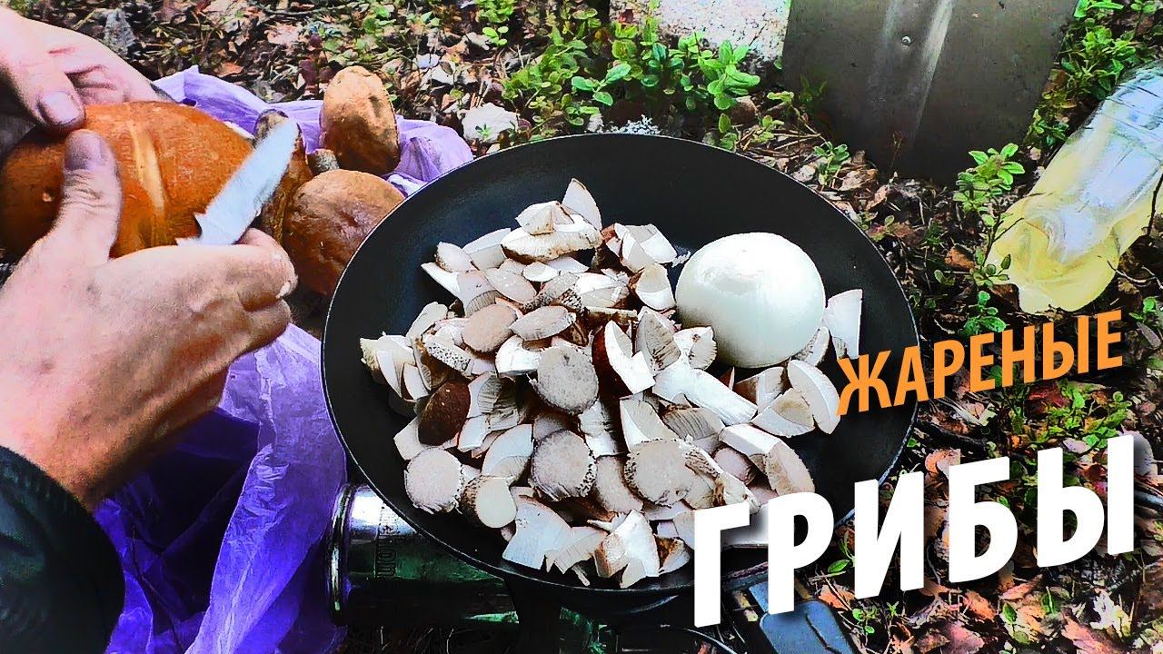 #19 Побег из плена ветра | Жареные грибы | Поход 2021