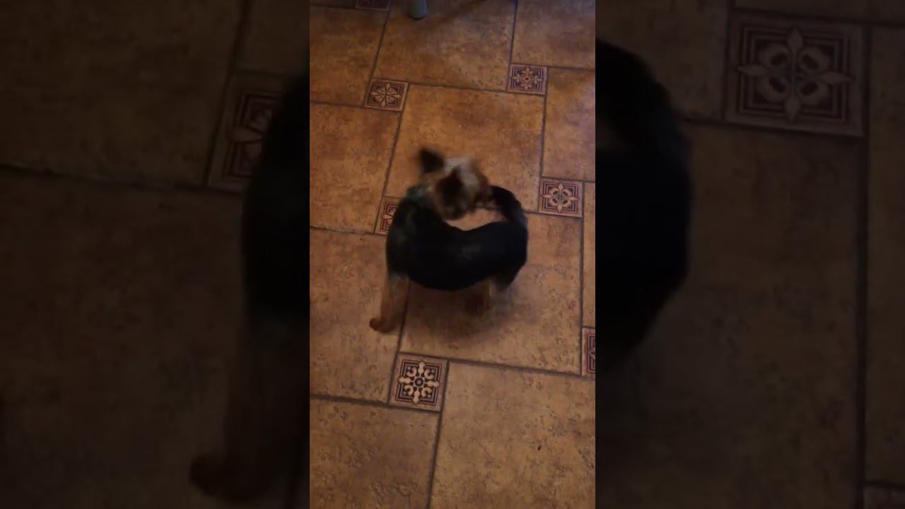 Ну, держись