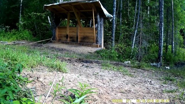 Птицы, запечатленные на фото ловушку. Часть № 30