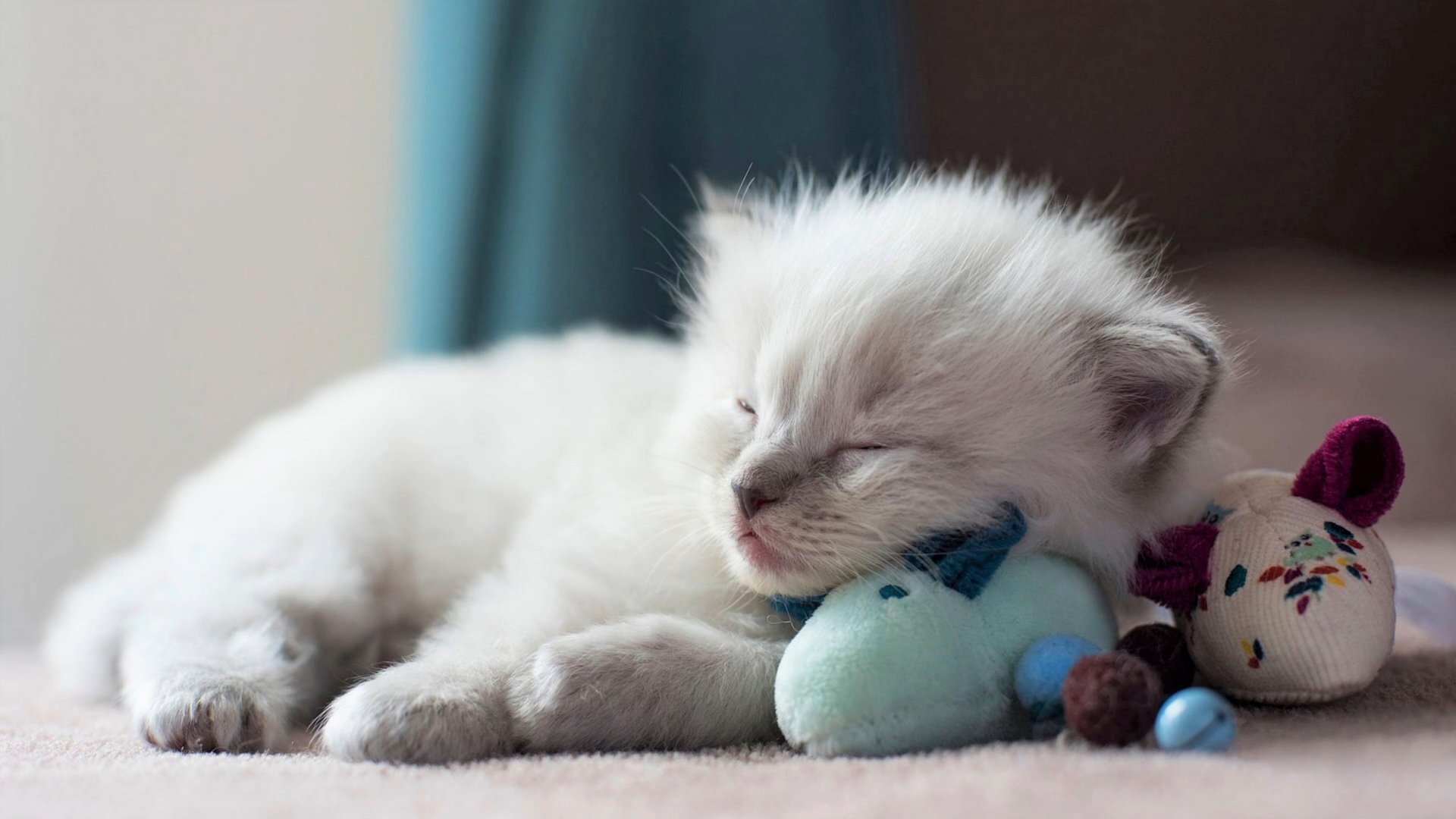 «Выбор». Социальная реклама