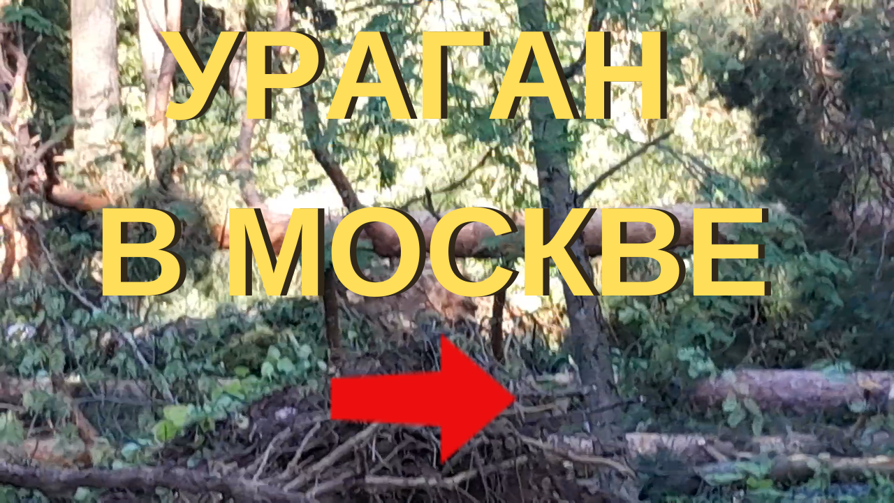 Ураган в Москве и Подмосковье Июнь 2024 года Последствия разгула стихии