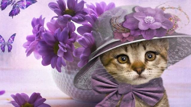 И вновь...Одинокая ветка сирени.