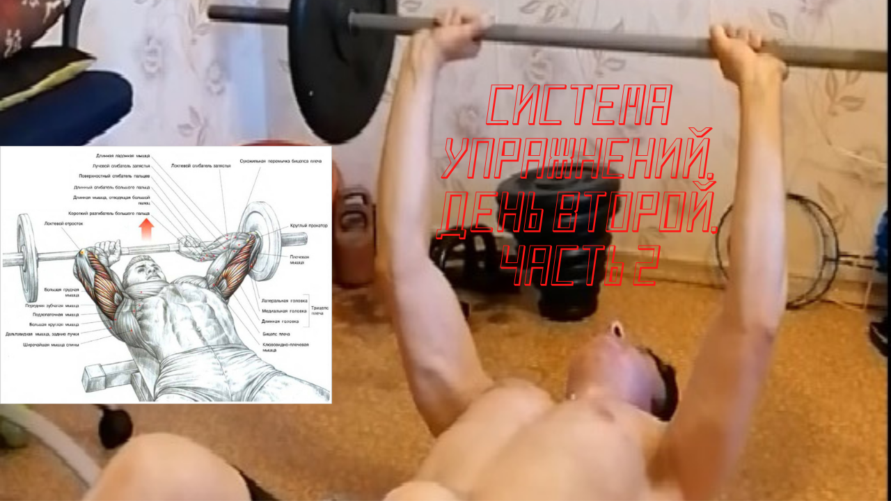 Система упражнений. День второй. Часть 2.