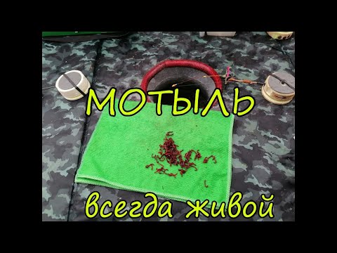 Надежное хранение мотыля зимой на рыбалке