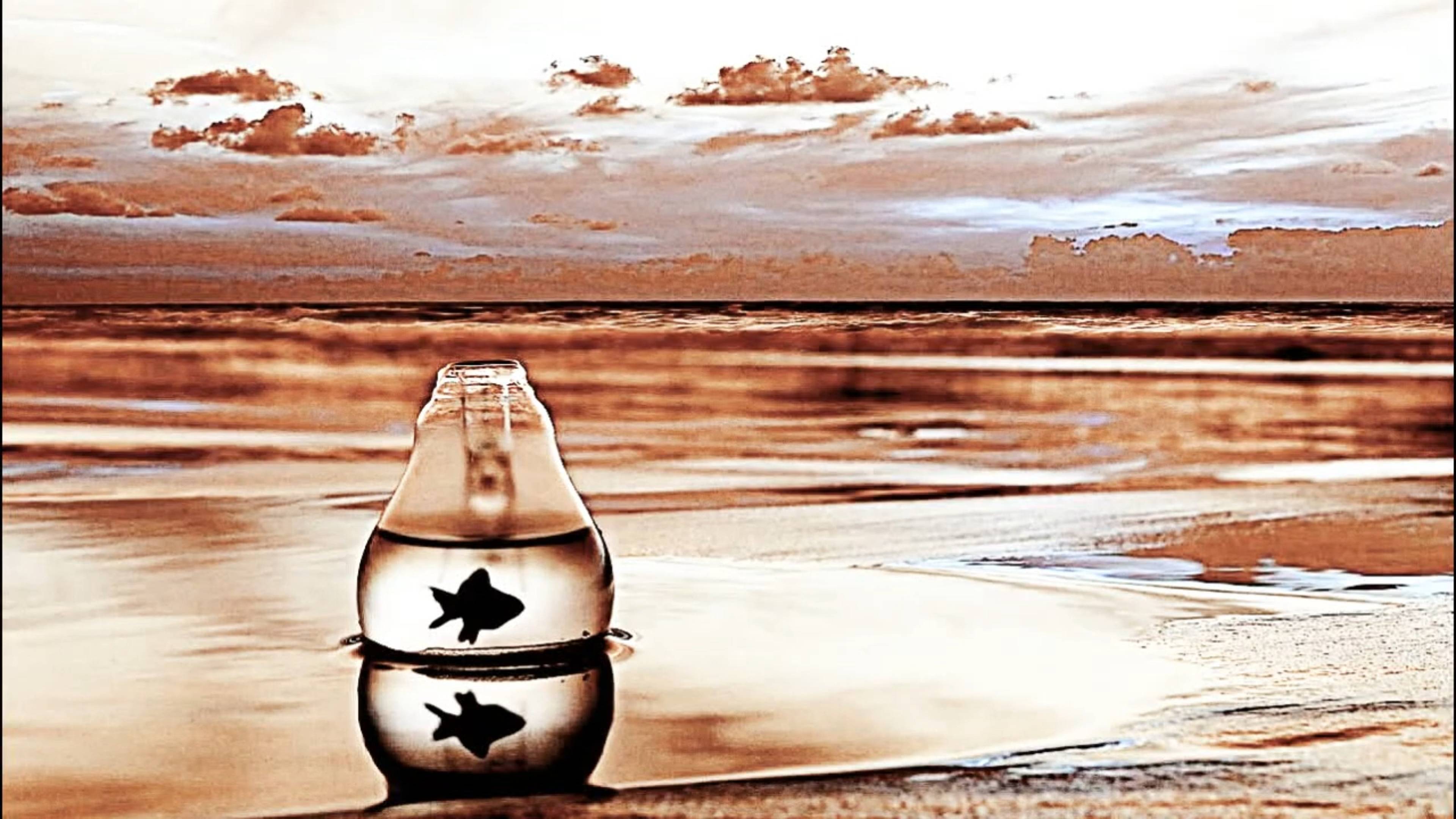 approaching-black-nadi