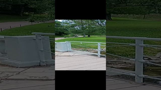 Гатчина , Гатчинский парк