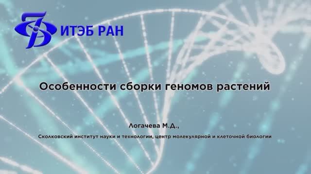 07 - Логачёва Мария Дмитриевна.mp4