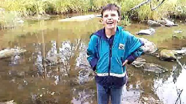 Остров на Нейве.