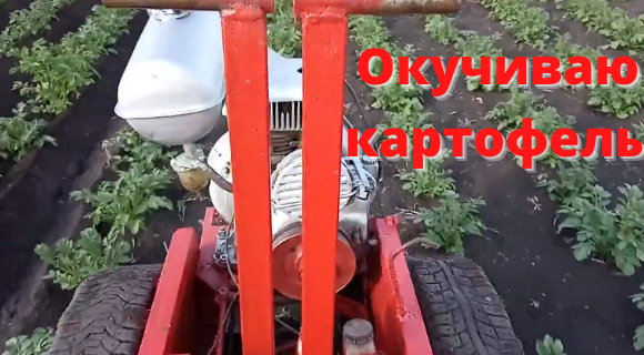 Покрасил трактор. Окучиваю картофель.