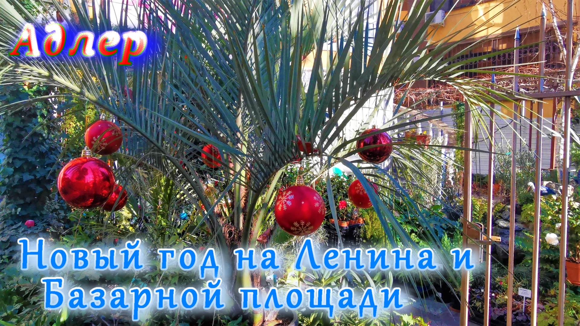 Новый год на Ленина и Базарной площади в Адлере 2023