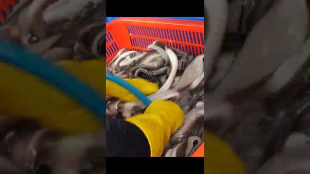 Канал Уличная Еда / Street Food Channel t.me/StreetFoodChannel