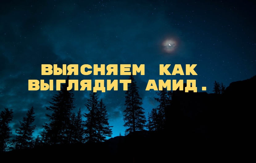 Выясняем как выглядит Амид.