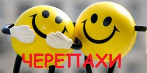 Спариваются черепахи.avi