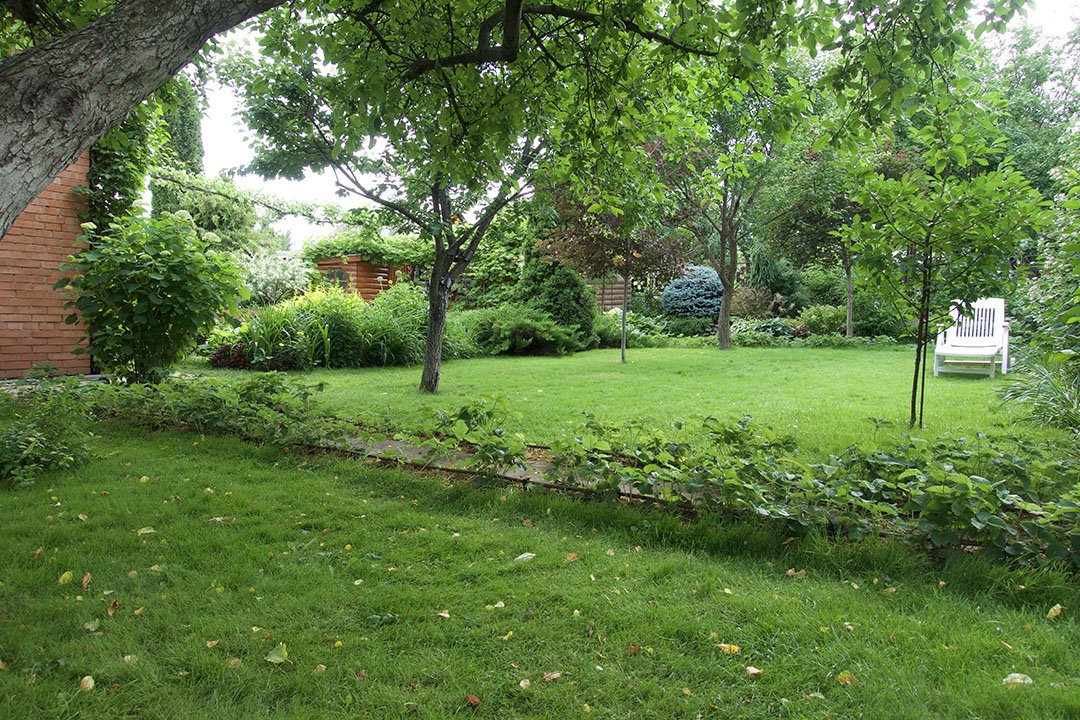 ГАЗОН / Своими руками / ДЕЛАЕМ ПРАВИЛЬНО! .mp4