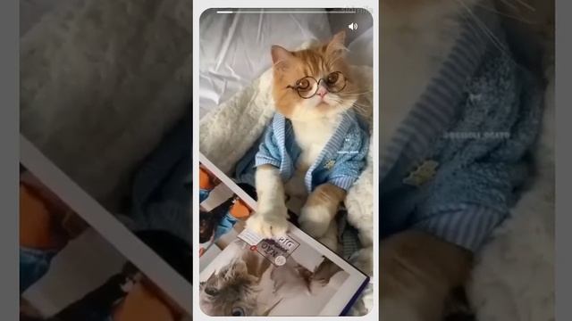 Удивительный день 1 апреля! Позитивный заряд Смеха, Юмора и Приколов