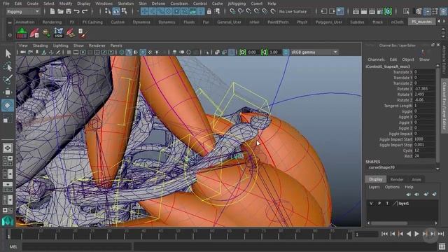 02 10 Continuing the Neck Muscles