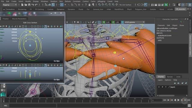 02 08 Finishing the Pectoral Muscles