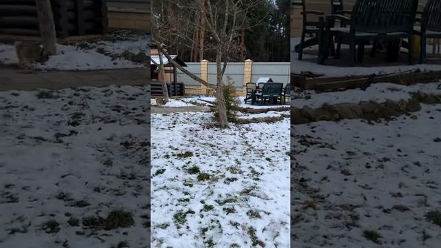 ЗИМНЕЕ УТРО!!!….ВЕДЬМИНА ИЗБА ИНГА ХОСРОЕВА.mp4