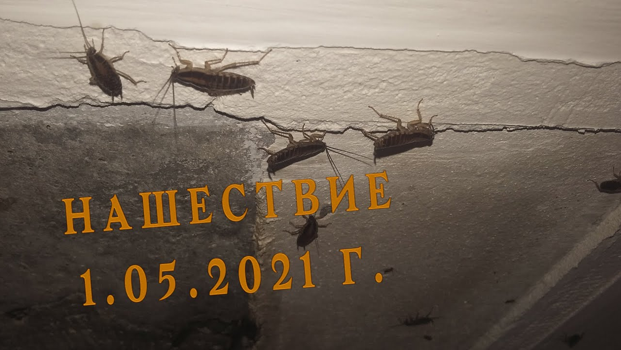 Нашествие 1.05.2021 г.mp4