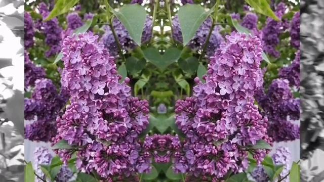 Прекрасного настроения!