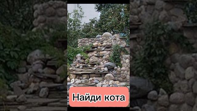 Найди кота