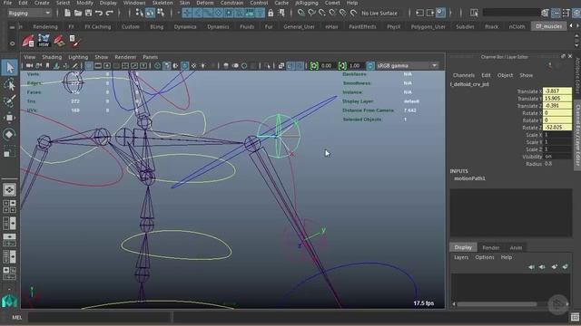 02 01 Exploring Muscle Types