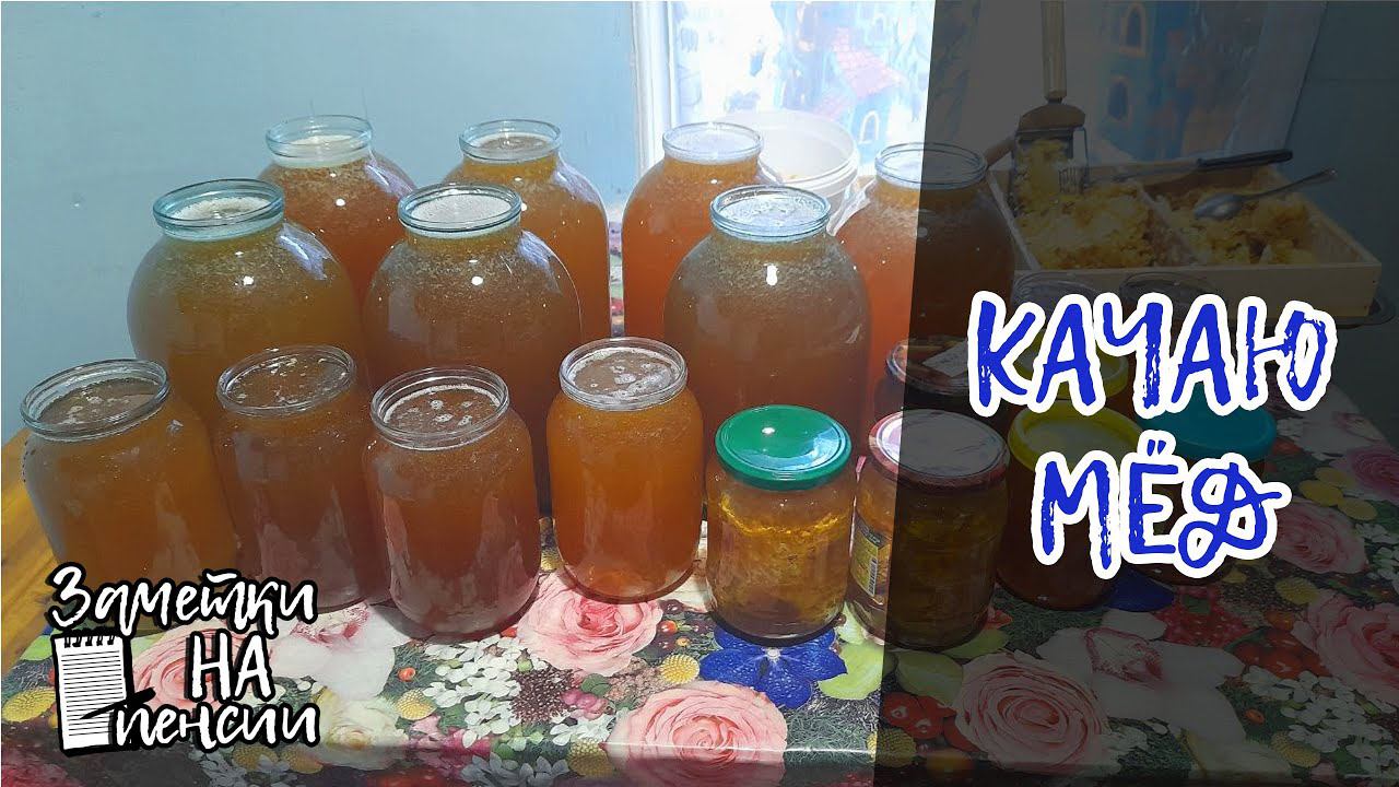Качаем  созревший мёд в июле 2024 года  #пчёлы #мёд #пасека