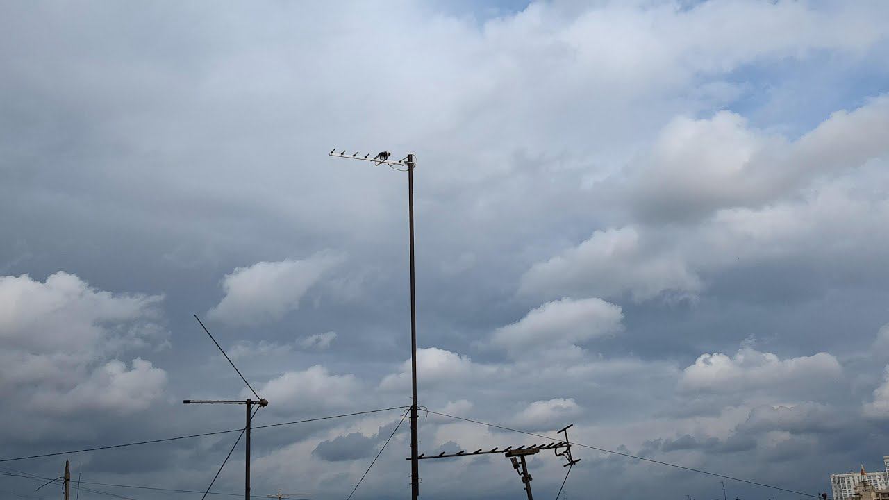 Который живет на крыше!