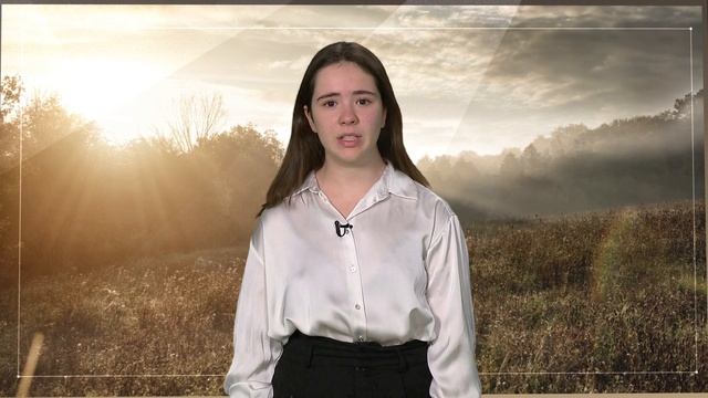 ДАРЬЯ НЕКРАСОВА - НА ЭТОМ ПОЛЕ