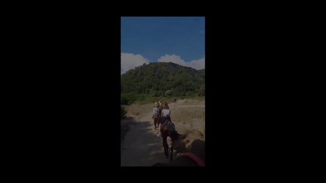 Конные прогулки. Лазаревское