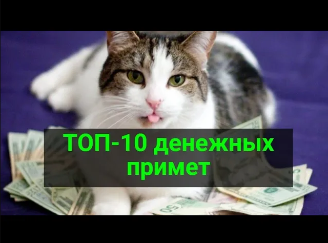 Чтобы деньги в доме водились_ ТОП-10 денежных примет